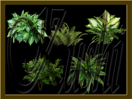 Second Life Marketplace - Plants Alpha 02 Textures