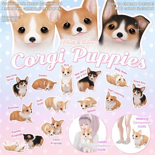 Second Life Marketplace - +Half-Deer+ Corgi Puppy - Wat did u say 2 me