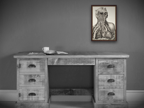 Second Life Marketplace - UPPER TORSO Antique Anatomical Print | Brown ...