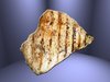 Second Life Marketplace - Maruti Textures Grilled Chicken Breast Alpha ...