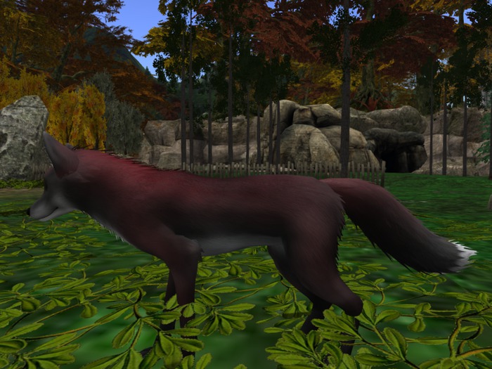 Second Life Marketplace - P&C TWI Dark Red Fox Mod