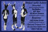 Second Life Marketplace - Sable Rabbit Mod - Inverted [retired]