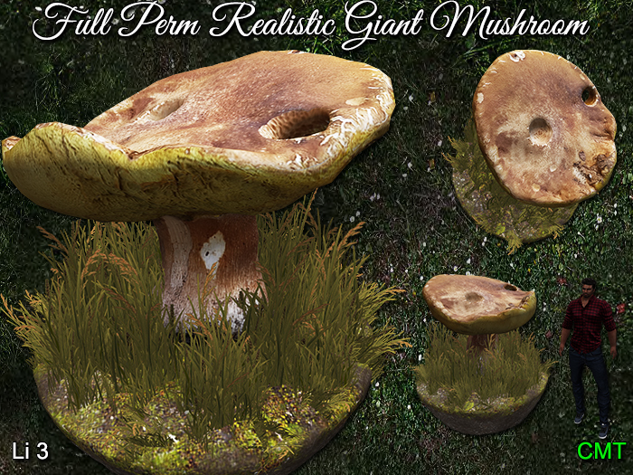 Second Life Marketplace - Full Perm Beautiful Giant Mushroom HQ Mesh