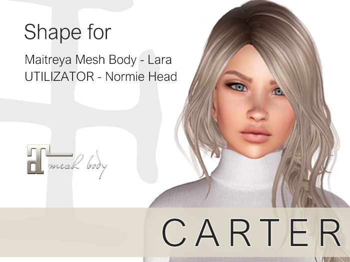 Second Life Marketplace - INC(RED)IBLE - Carter - shape for Normie Head ...