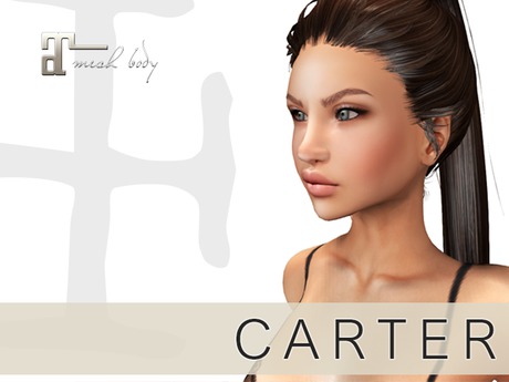 Second Life Marketplace - INC(RED)IBLE - Carter - shape for Normie Head ...