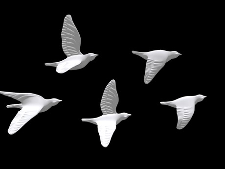 Second Life Marketplace - Withe birds.