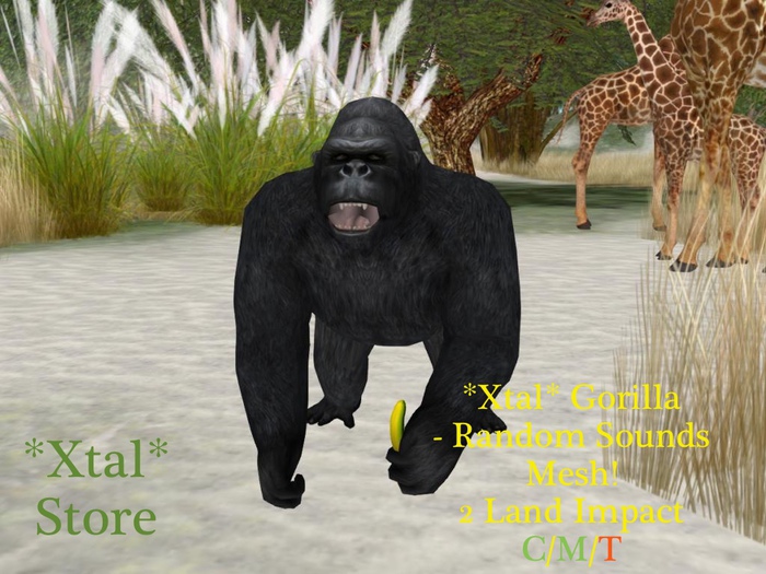 Second Life Marketplace - *Xtal* Gorilla - Random Sounds