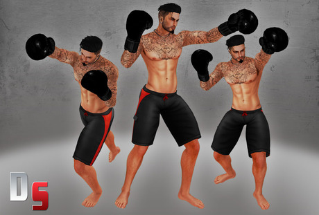 Second Life Marketplace - Boxing Basics Pose Set (6 Solo) [Dominion ...