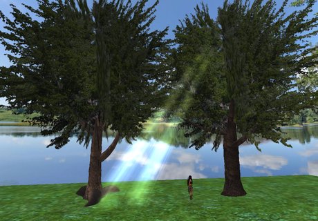 Second Life Marketplace - 2 sculpt trees 2 prim, copy