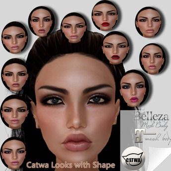 Second Life Marketplace - Catwa Maitreya Belleza Multi Skin Applier ...