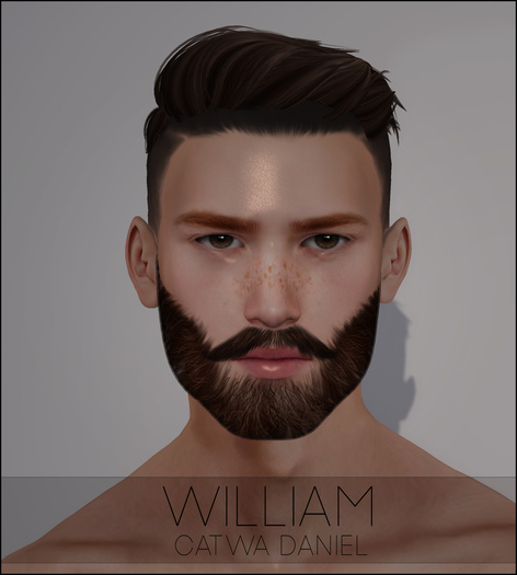 Second Life Marketplace - [Solo Shapes] William - Catwa Daniel