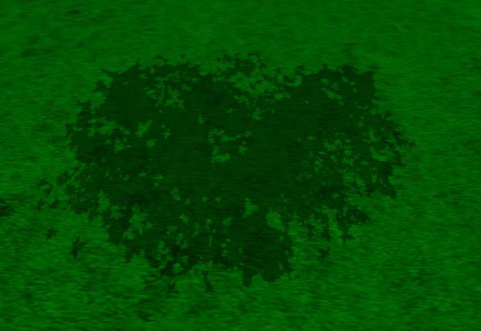 Second Life Marketplace - Tree shadow moving gently