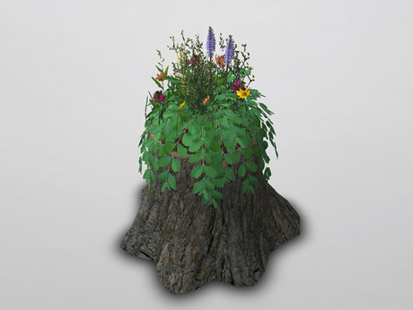 Second Life Marketplace - (Challis) Tree Stump Planter - Wild Flowers ...