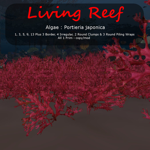 Second Life Marketplace - Inochi Reef : Algae "Portieria Japonica"