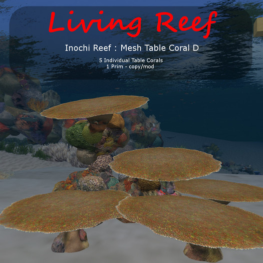 Second Life Marketplace - Inochi Reef - Mesh Table Coral D