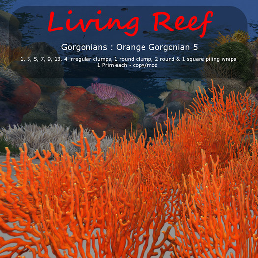 Second Life Marketplace - Inochi Reef : Gorgonians - Orange Gorgonian 5