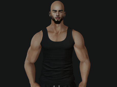 Second Life Marketplace - AYK-SHAPES@Belleza Shape Sima