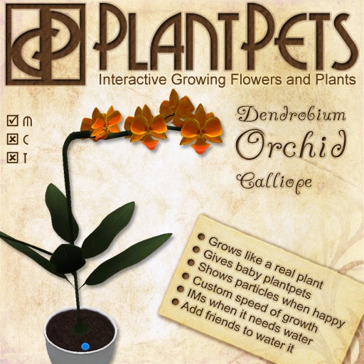Second Life Marketplace - PlantPet Seed [Dendrobium Orchid *Calliope ...