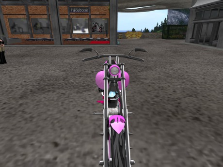 Second Life Marketplace - *DDC* Pink Ladies Female