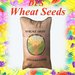 Second Life Marketplace - wheat seeds DFS storage vendor crate texture fb