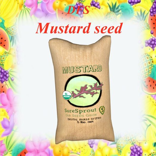 Second Life Marketplace - mustard seed DFS storage vendor crate texture fb