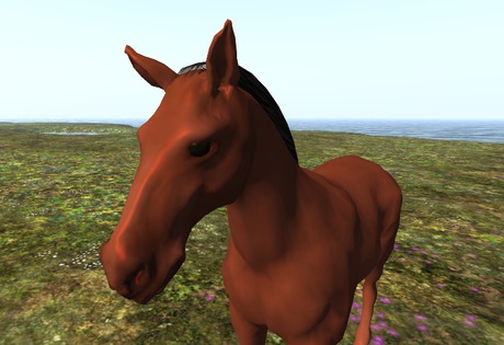 Second Life Marketplace - DIAVOLO ~ HORSE with sound + STABLE