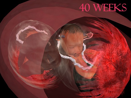 Second Life Marketplace - INNER CHILD - HY HUMAN/MINOTAUR TWINS B/G p ...