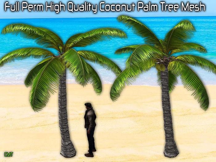 Second Life Marketplace - Full Perm High Quality Coconut Palm Tree Mesh