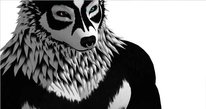 Second Life Marketplace - [ V3.0 ] JOMO Werewolf Malamute Husky MOD