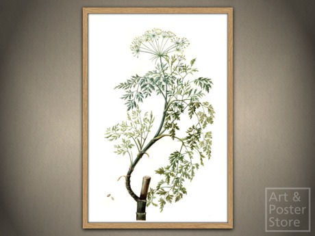 Second Life Marketplace - NOTOBUBON (BLISTER BUSH) From The Moninckx ...