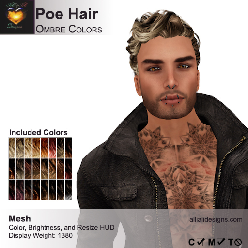 Second Life Marketplace - A&A Poe Hair Mesh Ombre Colors Pack. Mens ...