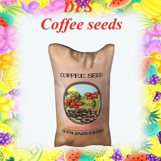 Second Life Marketplace - coffee seeds DFS storage vendor crate texture fb