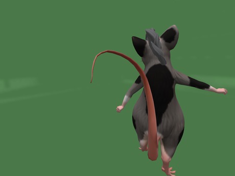 Second Life Marketplace - [RETIRED] +RRD+ Teegle Gray calico mouse mod
