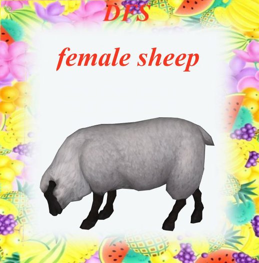 Second Life Marketplace - female sheep DFS storage vendor crate texture fb
