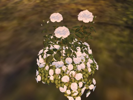 Second Life Marketplace - 4th July Flowers ~ White Trailing Roses ...