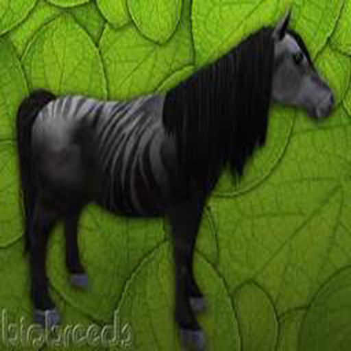 Second Life Marketplace - BB Exotic Box Male STARTER
