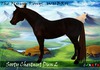 Second Life Marketplace - .:TFP:. WHBRH- Sooty Chestnut Dun 2