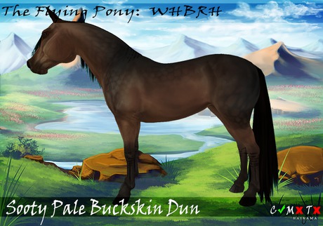 Second Life Marketplace - .:TFP:. WHBRH- Sooty pale Buckskin Dun