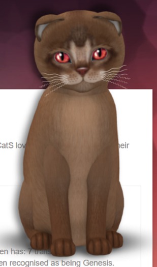 Second Life Marketplace - ♂ New Born Kitten 7 traits Fur: Abyssinian ...