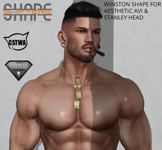 Second Life Marketplace - [SHAPEshifters]WINSTON SHAPE FOR AESTHETIC ...