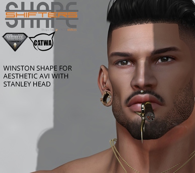 Second Life Marketplace - [SHAPEshifters]WINSTON SHAPE FOR AESTHETIC ...