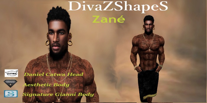Second Life Marketplace - DivaZ Shapes - MALE AESTHETIC & SIGNATURE ...