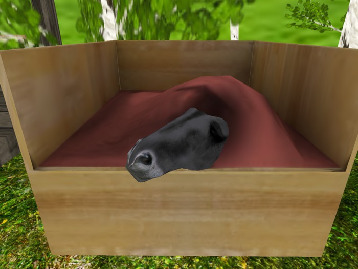 Second Life Marketplace - F BB Pony Box Maverick Majesty LL