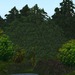 Second Life Marketplace - Conifer Evergreen Trees Copse of 8 v.2.1 - M ...