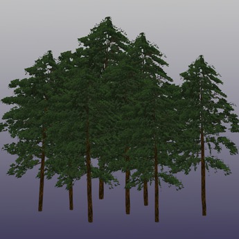 Second Life Marketplace - Conifer Evergreen Trees Copse of 8 v.2.1 - M ...