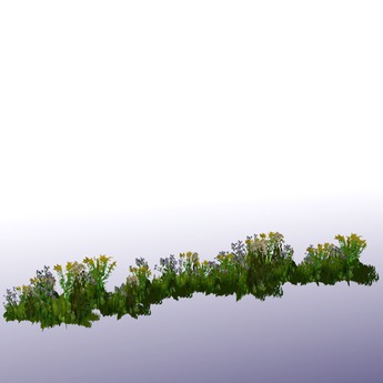 Second Life Marketplace - Row of Grasses & Wildflowers - Sculpt - M/T ...