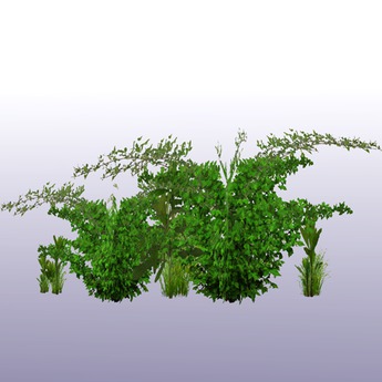 Second Life Marketplace - Jagger Bush - Mesh - M/T - 0.5 LI - Forests ...