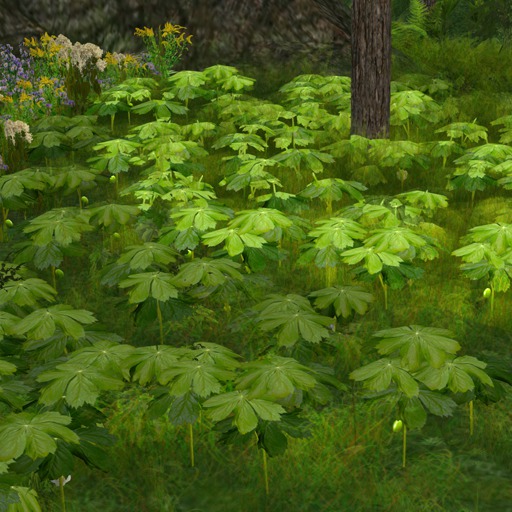 Second Life Marketplace - May Apples; Foliage, Fruit & Blossom versions ...