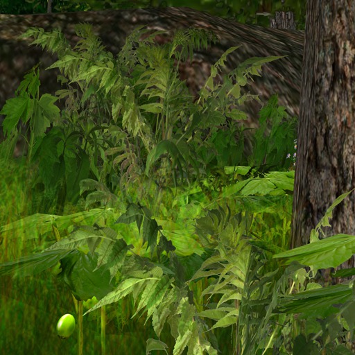 Second Life Marketplace - Underbrush -mesh - C/M - 1 LI - Forests ...