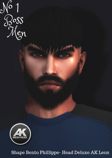Second Life Marketplace - !Boss! Shape Bento - Philippe head AK